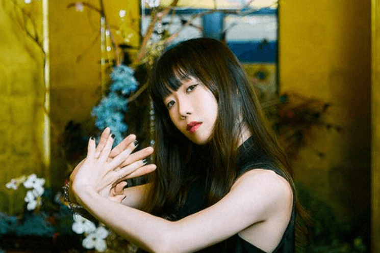 Aimer(エメ)は結婚してる？年齢・本名・経歴などプロフィールを徹底調査！